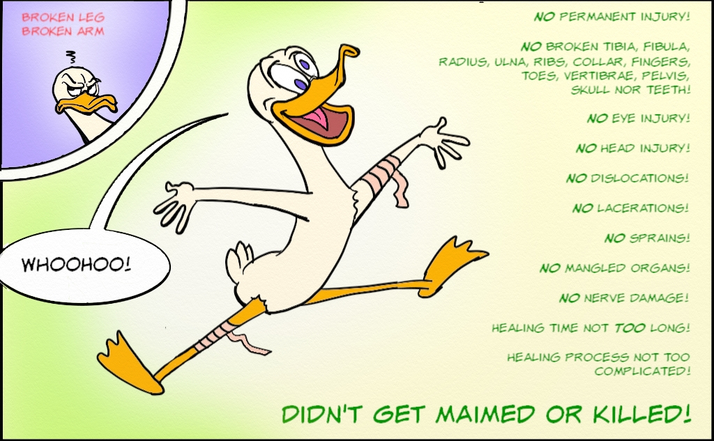 Tail o' the Rat: How I Broke my Arm & Leg Part II: Lucky Ducky