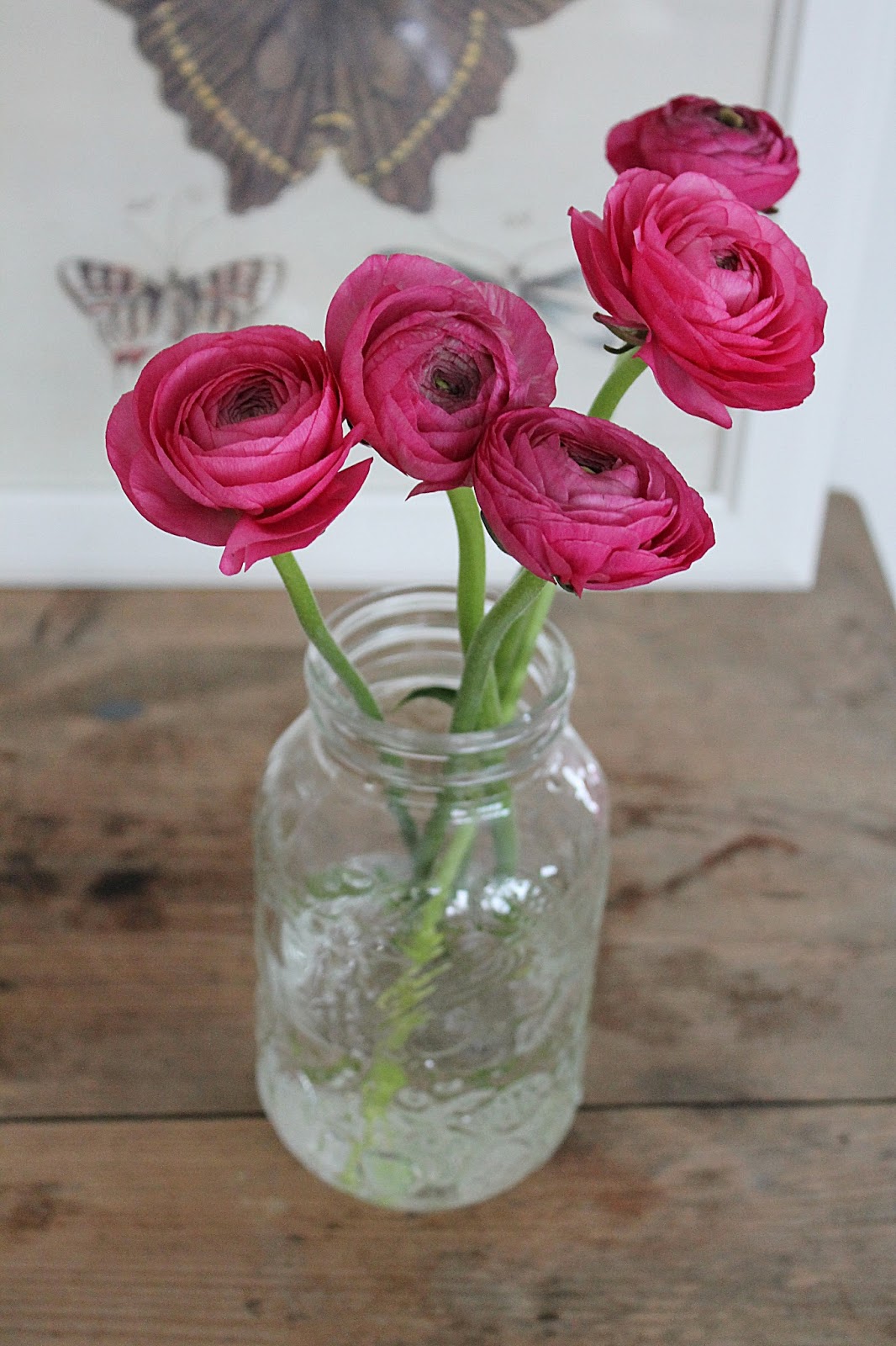 Huset ved fjorden: Ein bukett ranunkler til...