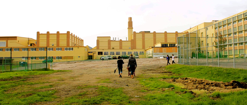 Thielmann's Blog Cabin: BCSSTA conference and LSA inquiry