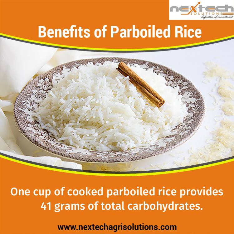 Nextech Solutions- Rice Mill Plant Consultants: Why Should You Eat ...