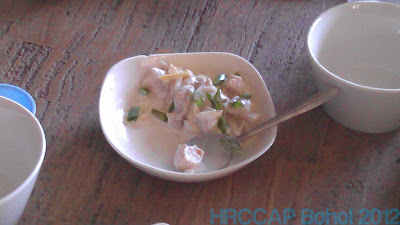 Balicasag & Virgin Islands in Bohol | Noelizm