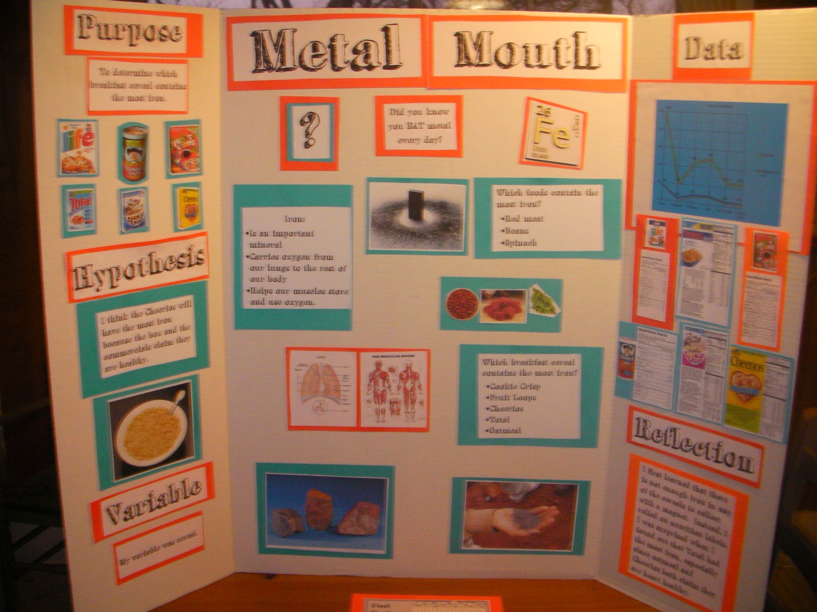 Kate Ryan Williams: Science fair project...times two