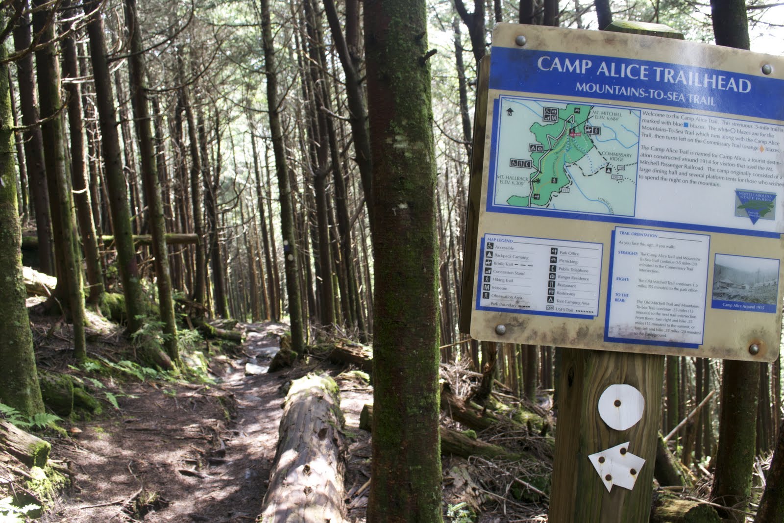 The Adventure Lifestyle Blog: Mount Mitchell State Park