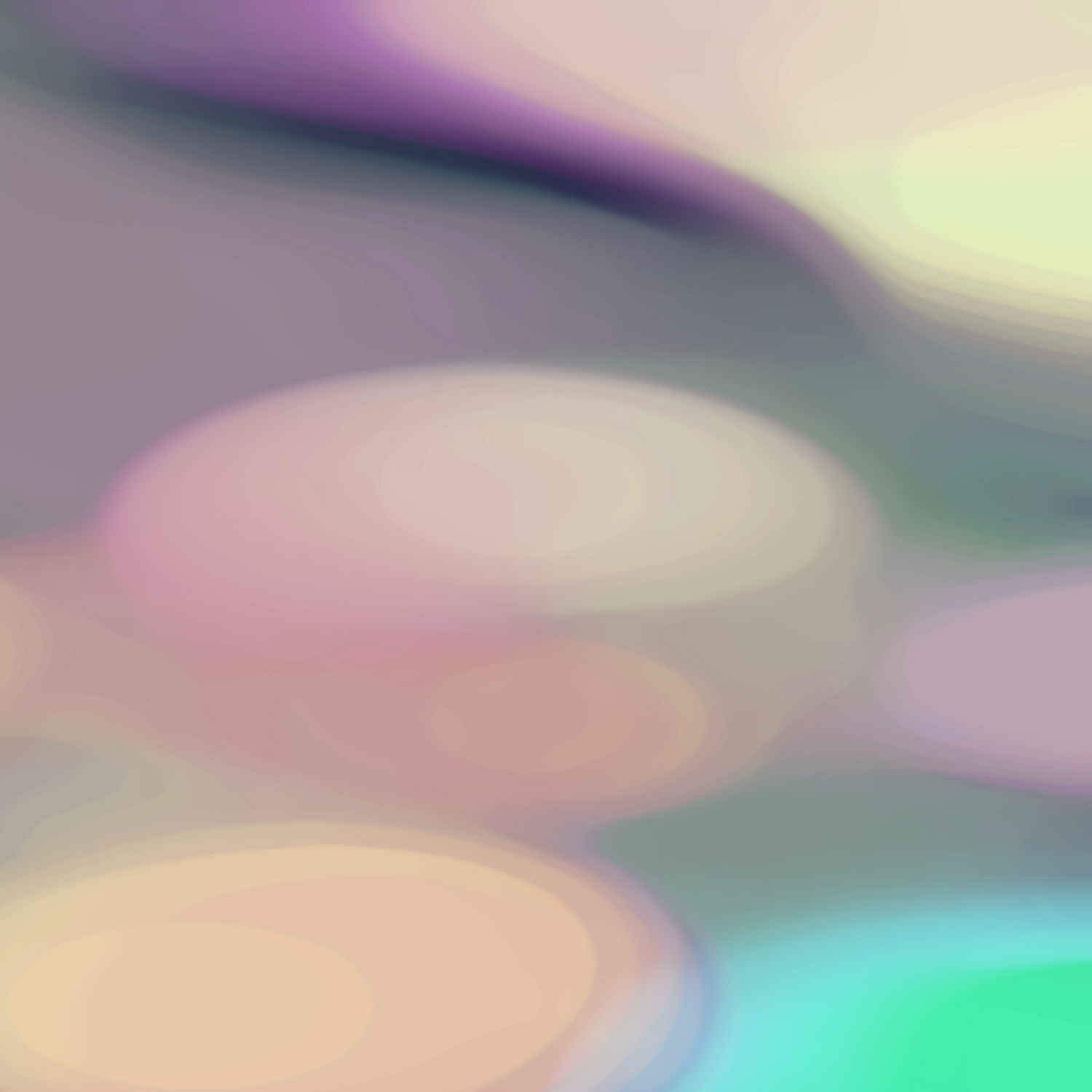 Nothing and Insight: fetik