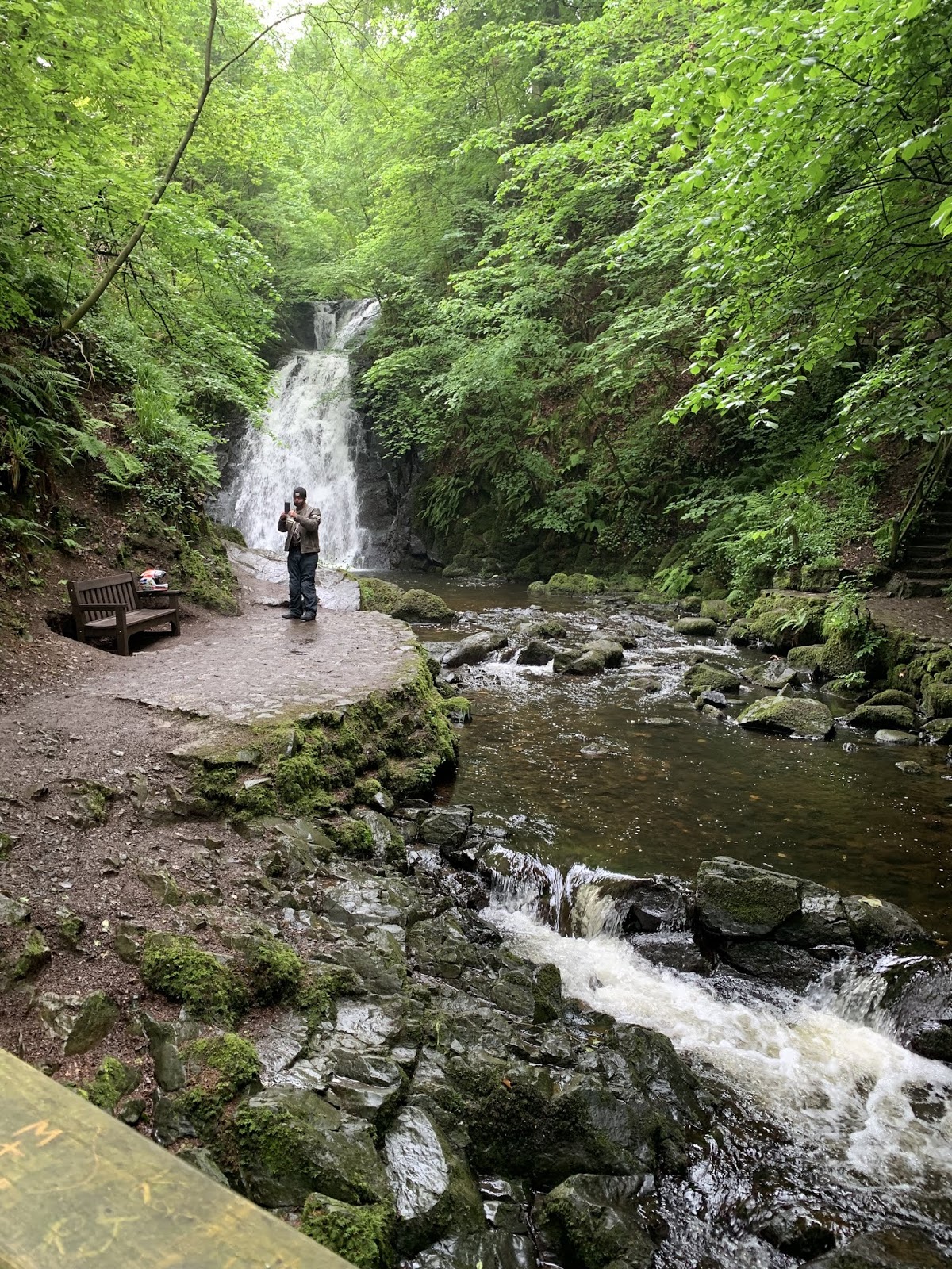 Animal, Nature, and Travel: Old Waterfall in Belfast, Northern Ireland