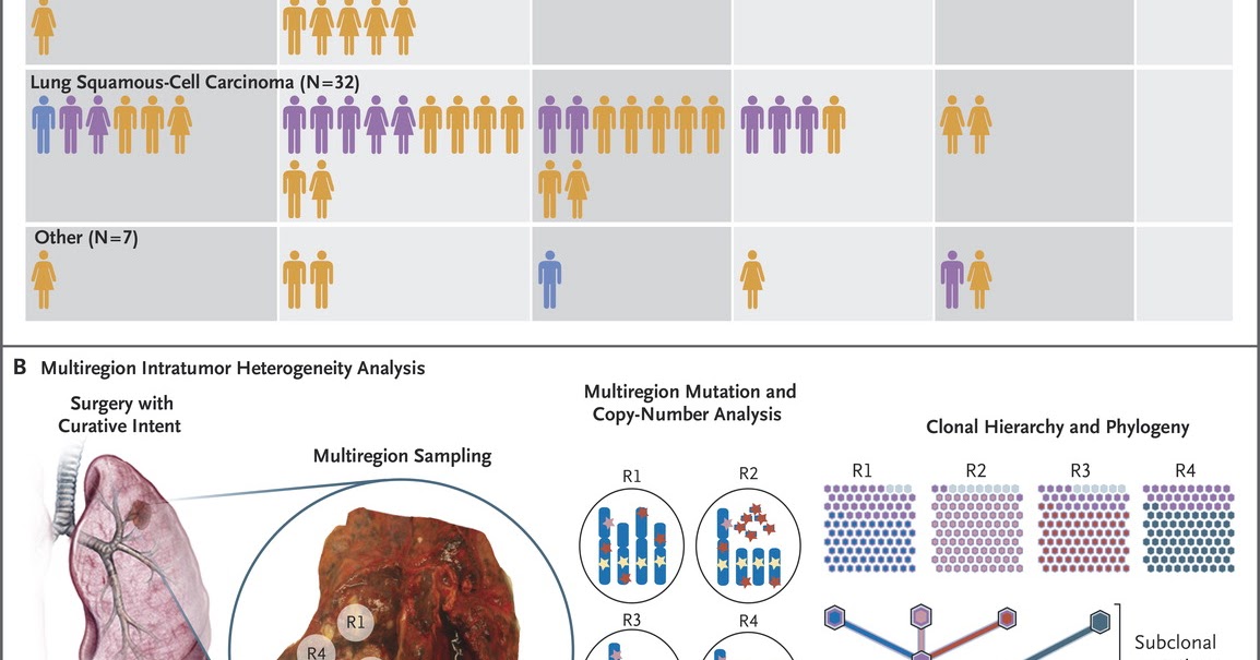 Tracking the Evolution of Non–Small-Cell Lung Cancer (Free full text ...
