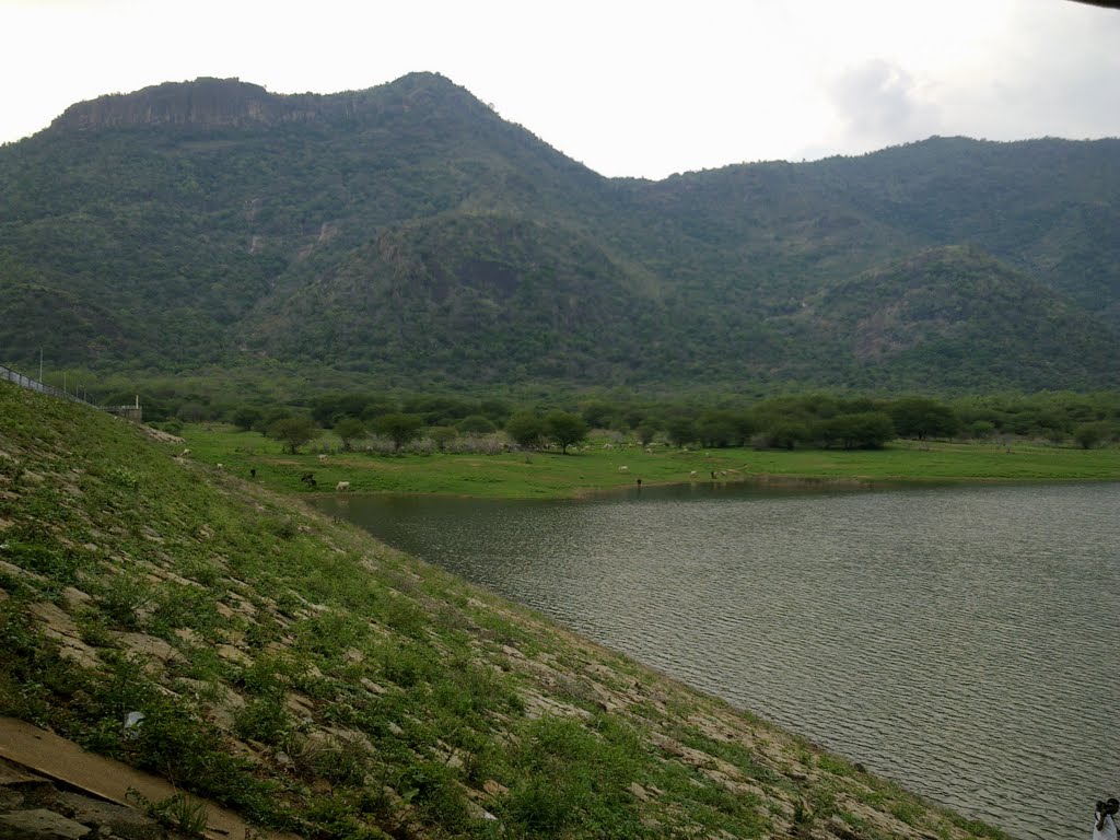 Tamilnadu Tourism: Pilavakkal Dam, Vathirairuppu (Watrap), Virudhunagar