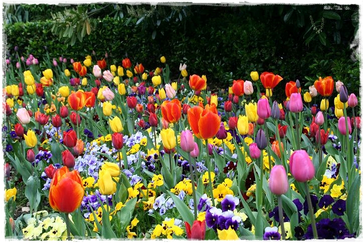 Educando com carinho♥!!!: Primavera