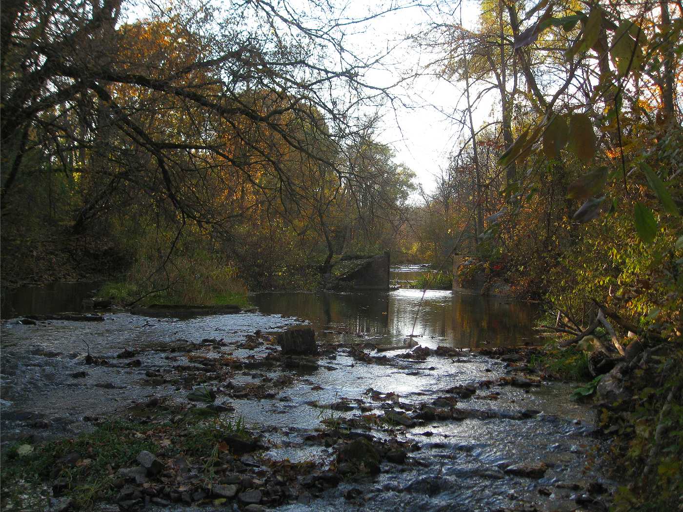 Shari's Chocolate Box: ♬ Look at the World