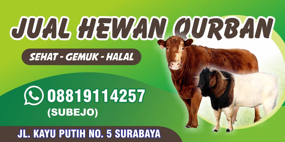 Download Template Banner Jual Hewan Qurban CDR - Masvian