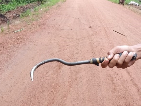 TC CILACAP.COM: PERALATAN PANEN KELAPA SAWIT