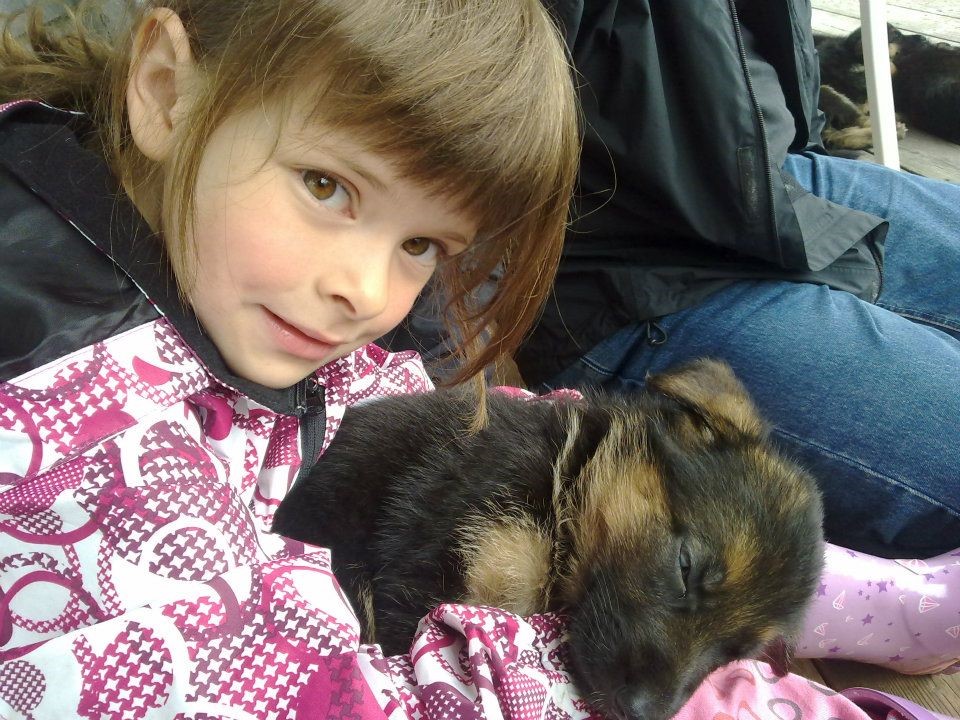 Hundetrening i Fokus: Barn og Hund