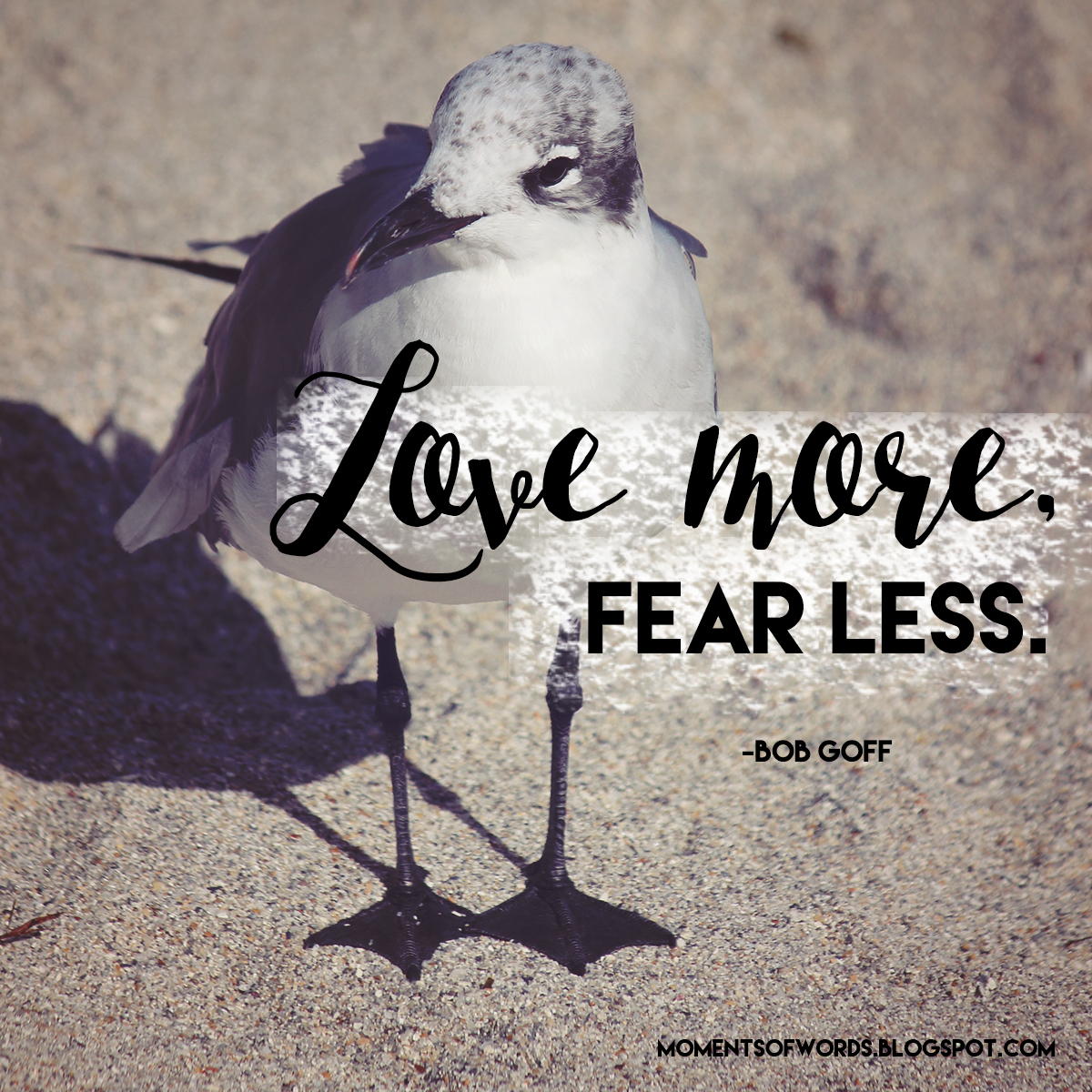 Love more; fear less! #lovemore #fearless | Moments of words