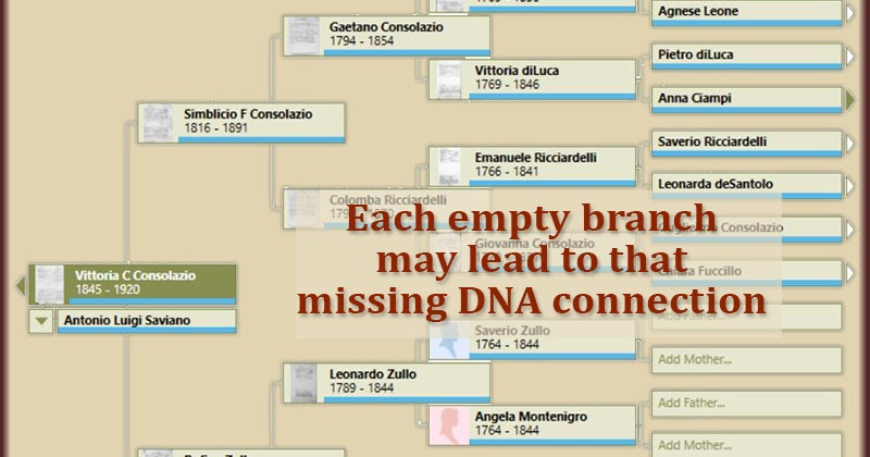 Fortify Your Family Tree: Are Your Dead Ends Hiding DNA Matches?