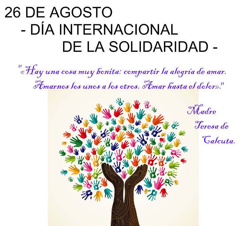 Biblioteca de la Escuela 15 DE 09