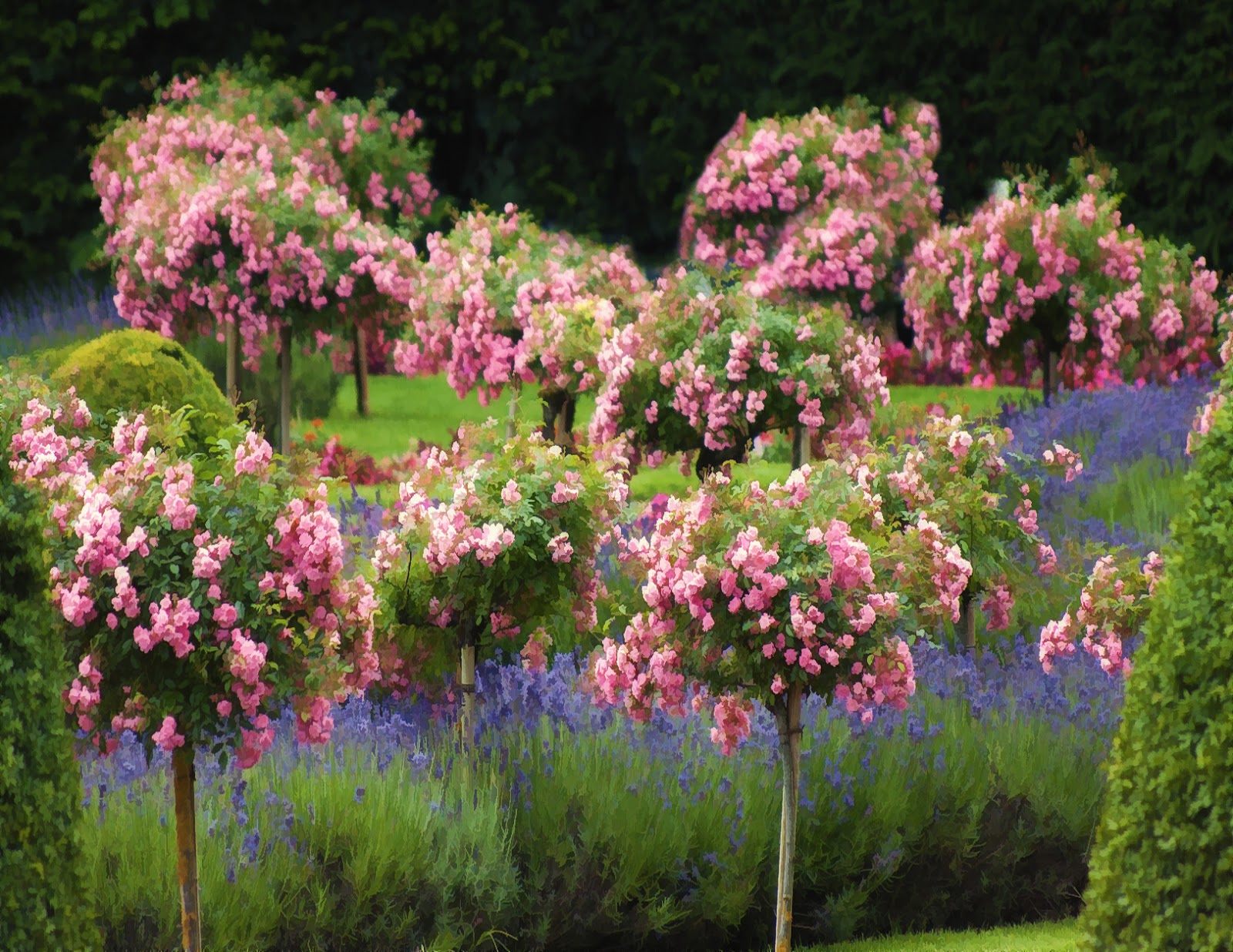 Wood and Pixels Narratives -A photo blog encouraging the art of prose ...