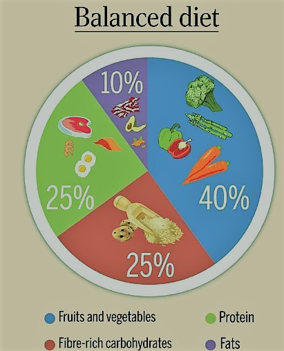 What is a balanced diet? example and components of balance diet