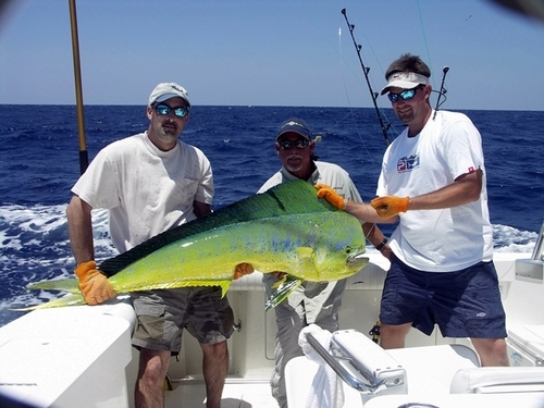 Lands End Charters – Cabo San Lucas fishing charters: Some of the Most ...