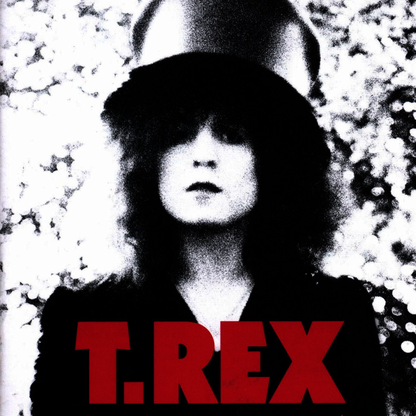T Rex Discography