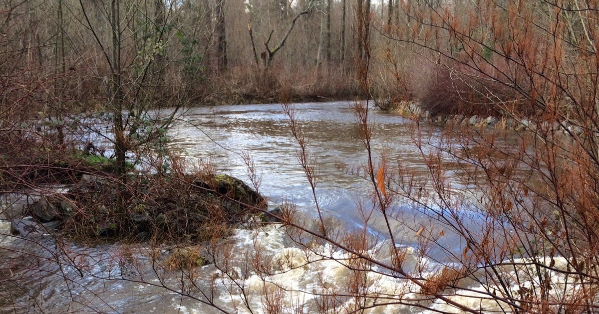 Little Swamp Creek: The Size of the Swamp Creek Watershed May Surprise You