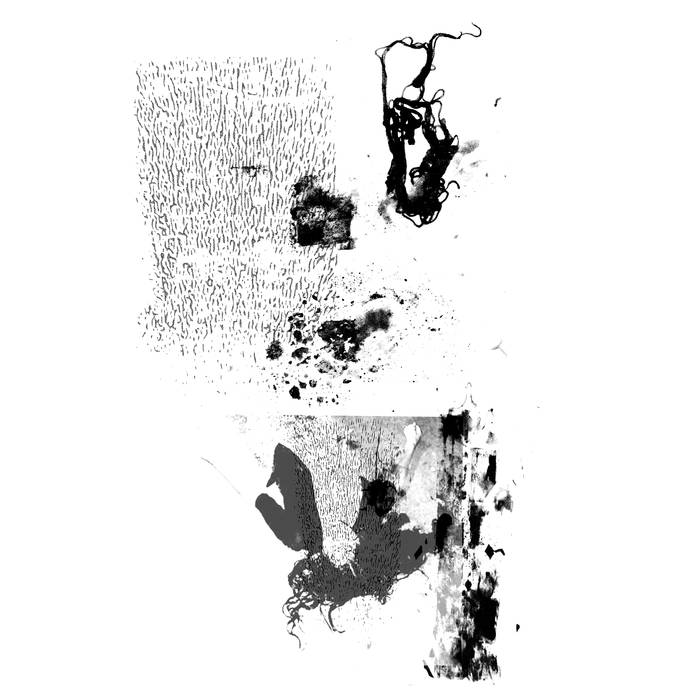 Hominis Canidae: VICTIM! - D. (2017)