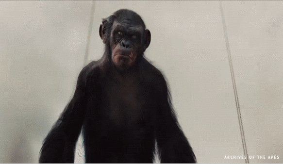 Archives Of The Apes: Rise Of The Planet Of The Apes (2011) Part 50