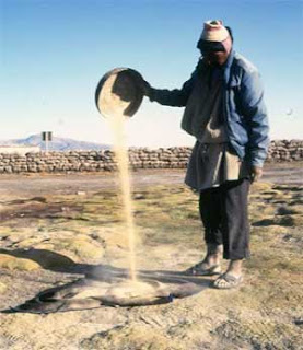 Las Nacionalidades de Bolivia: Los Urus