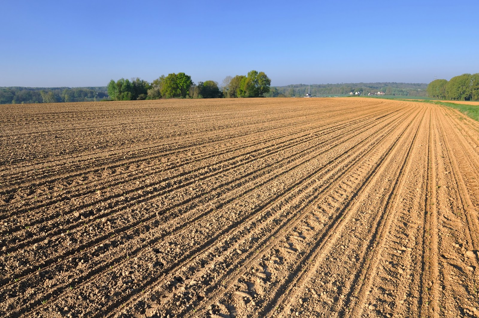Características do Argissolo