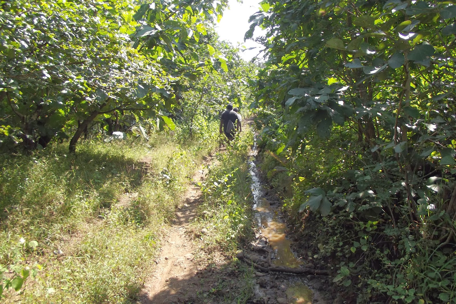 My Travel Ore: Gayatri Waterfalls, Adilabad District, AndhraPradesh