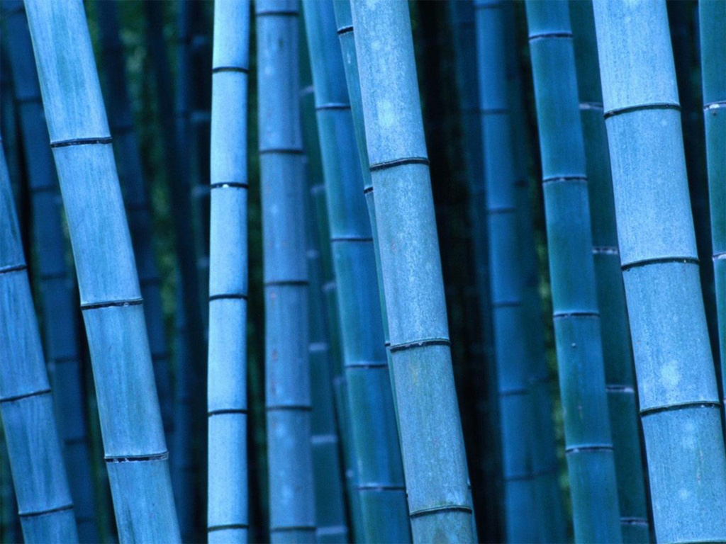 Top 10 Cool Twitter Nature Backgrounds - Just Amazing Things