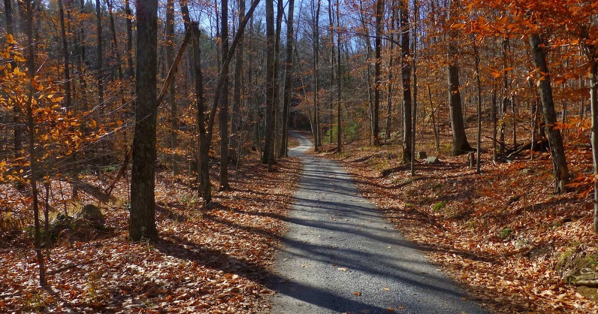 Off on Adventure: Jabe Pond - Lake George Wild Forest - 11/3/13