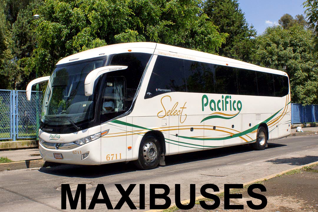 MAXIBUSES: TRANSPORTES DEL PACÍFICO, PACÍFICO SELECT