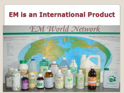 EM-1: What is EM?