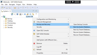 SAP HANA Tutorial, Material and Certification Guide