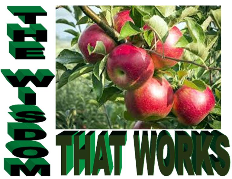 The Wisdom That Works