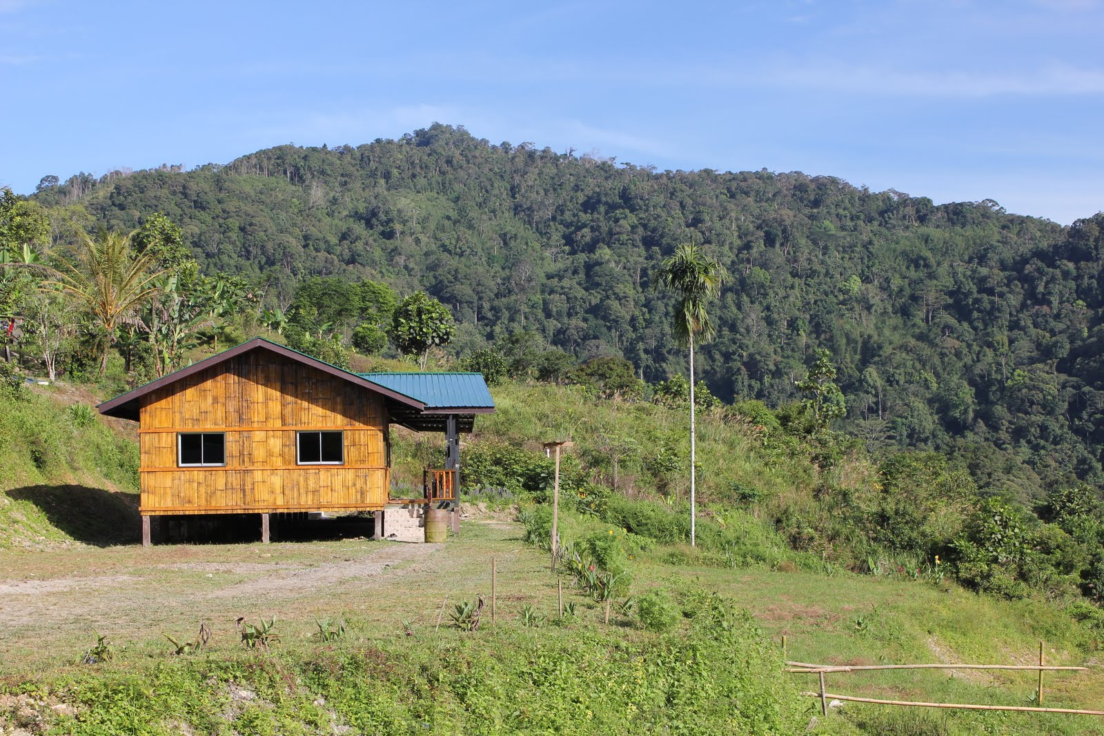 Travel around Borneo, Sabah, Malaysia