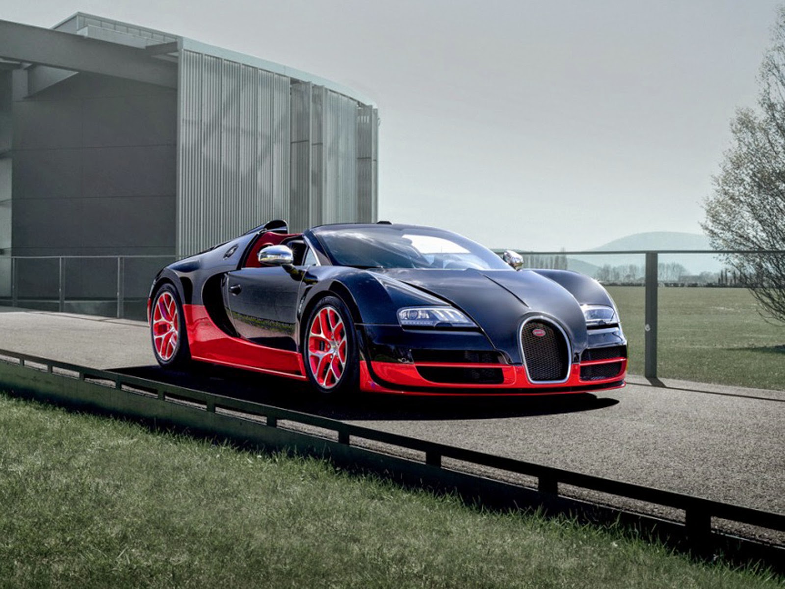 Noticias : LOS AUTOS MAS CAROS DEL MUNDO