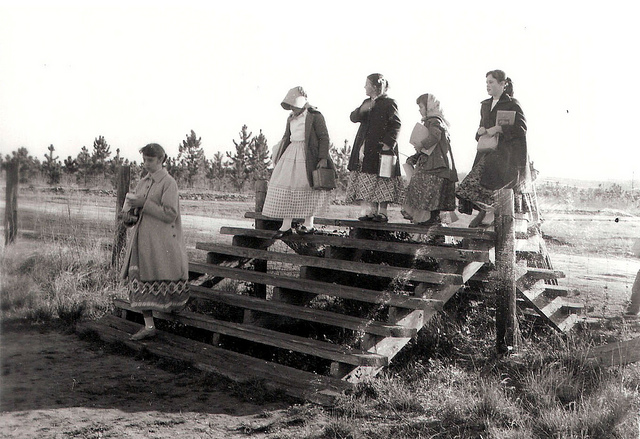 Tally Ho!: More Old Photographs Of Call, Texas By D.T. Kent