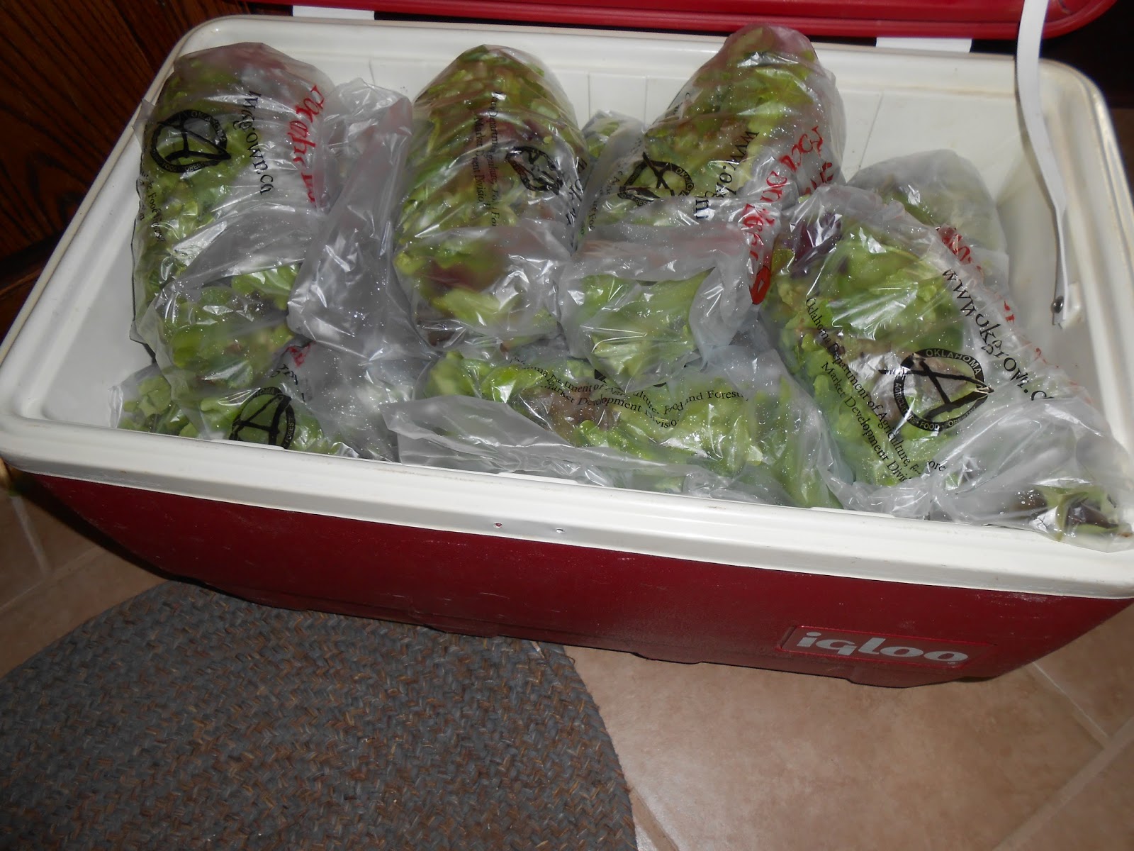 Windy Acres Diary: Lettuce Assembly Line