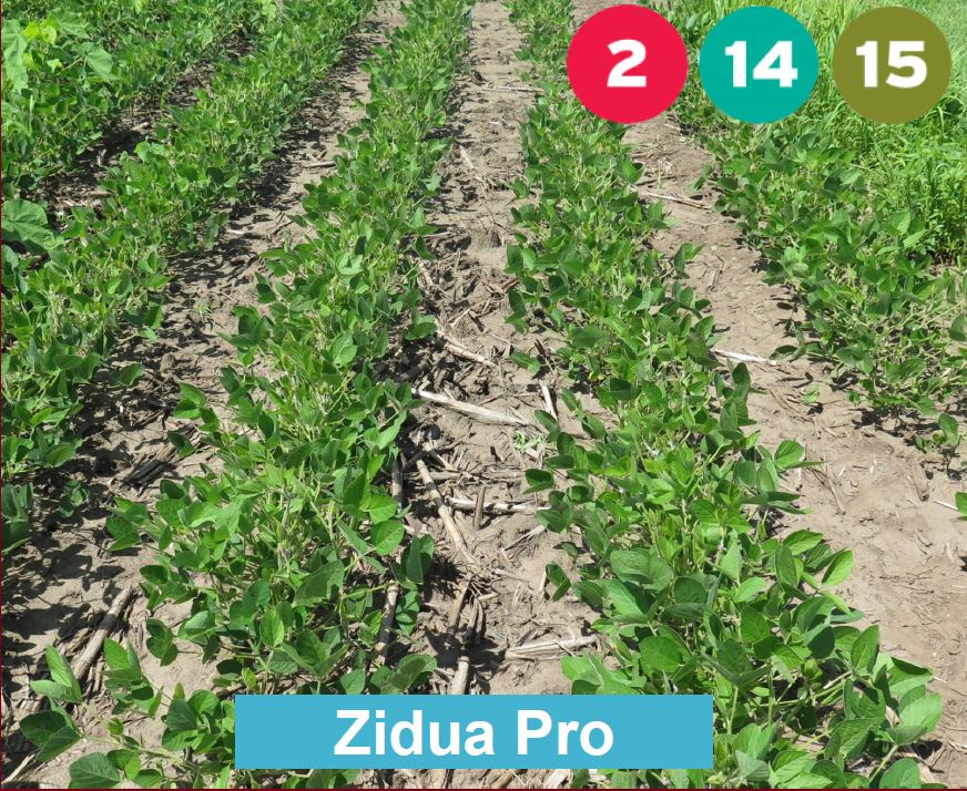 Get to know your soybean herbicide SOAs