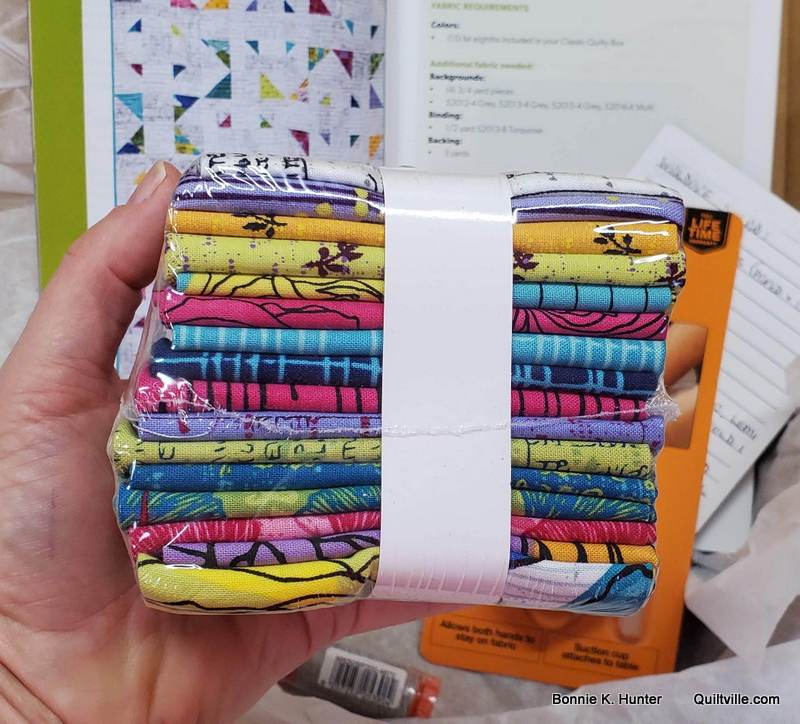 Quiltville's Quips & Snips!!: November 2020 Quilty Box Gift-Away!