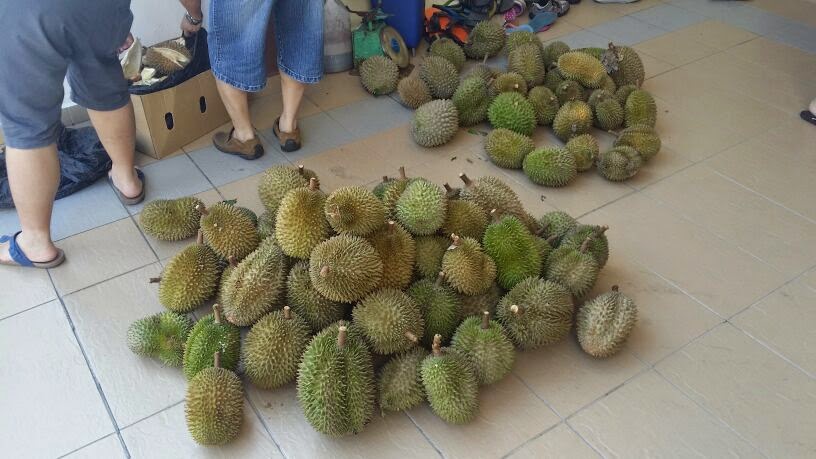 Our Journey : Penang Balik Pulau - Genting Durian party