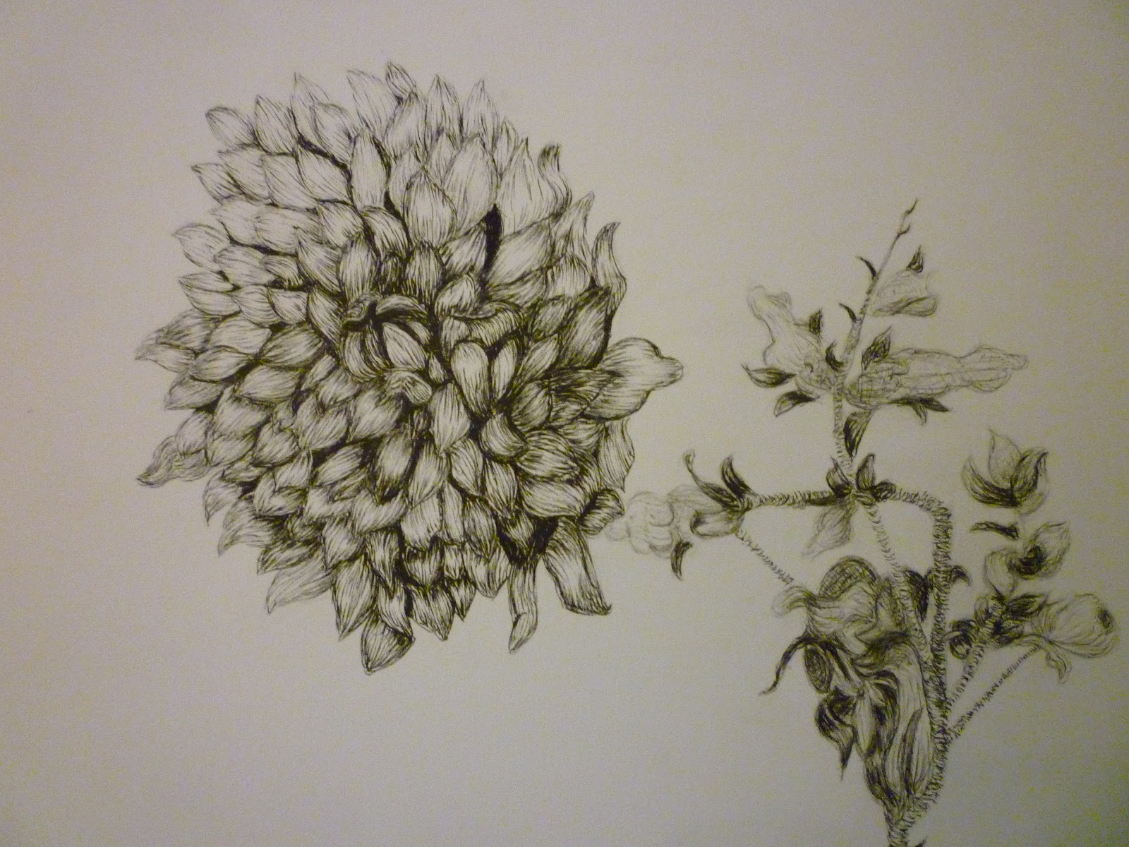 UM Drawing Tutorials: Value and Crosshatching