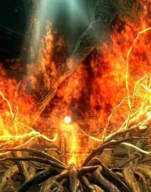 Inside/Outside: Chaos