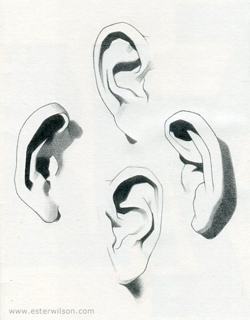 Sketchbook study drawings of Charles Bargue ears