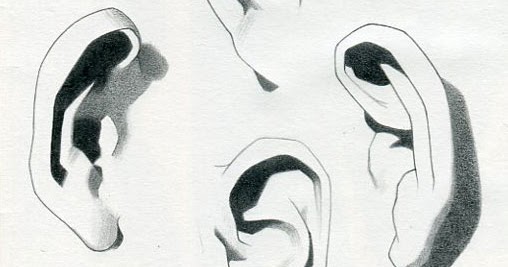 Sketchbook study drawings of Charles Bargue ears