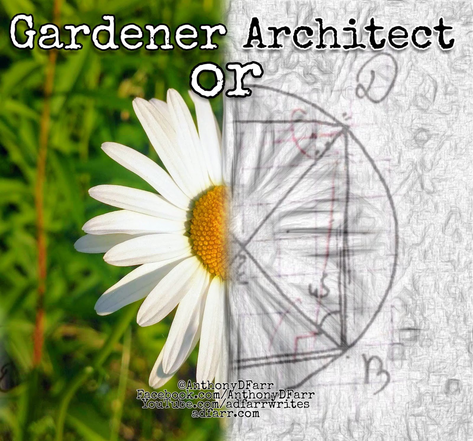 Gardener or Architect
