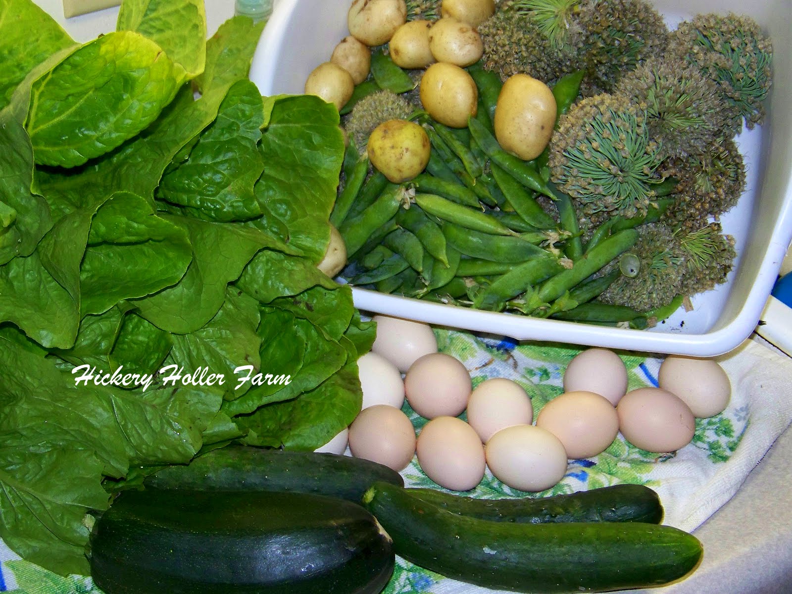 Hickery Holler Farm: Supper