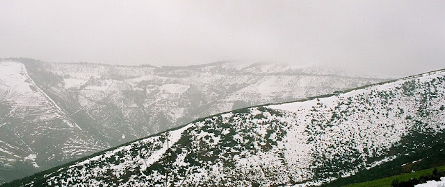 El Camino de Santiago desde Asturias: 10/01/2015 - 11/01/2015