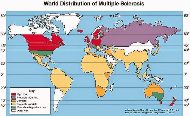 MS Fact Sheet: Multiple Sclerosis Fact Sheet